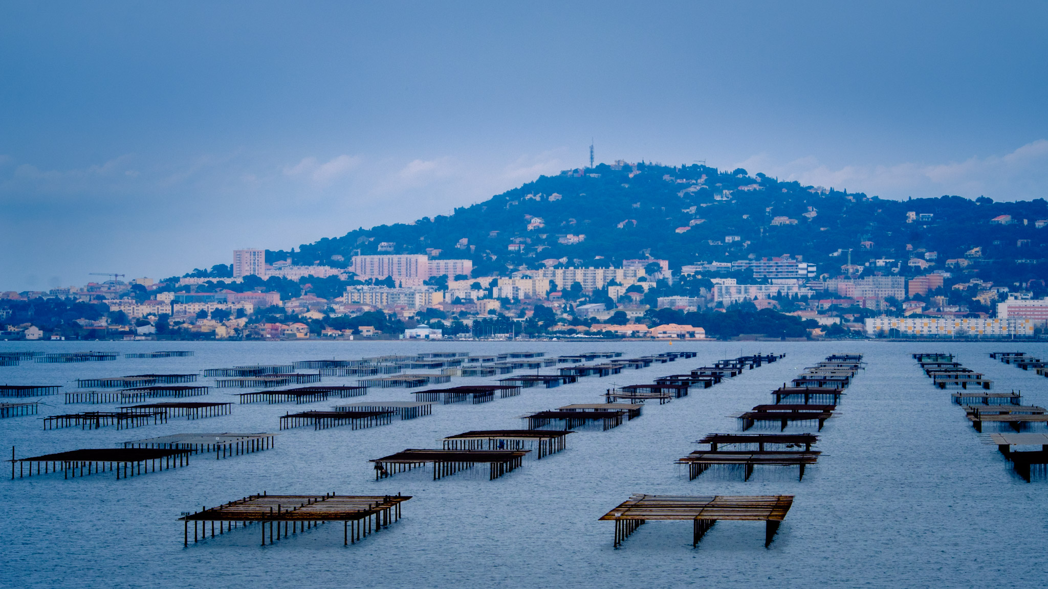 Ostréiculture – Miximum